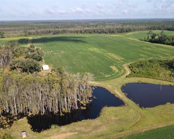 Alabama Ranches for Sale : Page 12 of 57 : RANCHFLIP