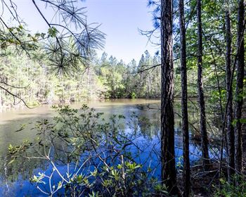 Buy Ranches for Sale, Find Ranchettes & Hunting Ranches : RANCHFLIP