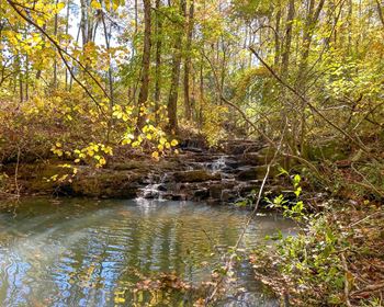 Buy Ranches for Sale, Find Ranchettes & Hunting Ranches : RANCHFLIP