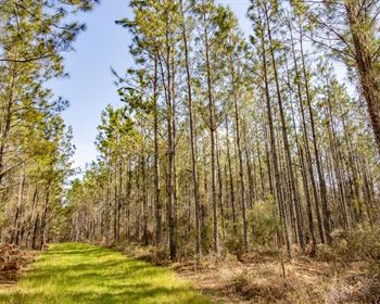Ranches for Sale Over 5,000 Acres