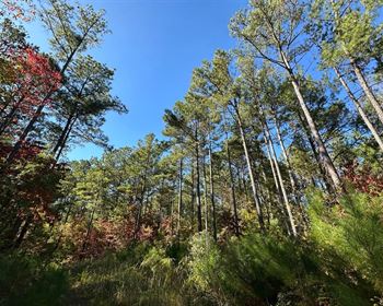 Buy Ranches for Sale, Find Ranchettes & Hunting Ranches : RANCHFLIP