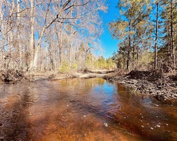 Buy Ranches for Sale, Find Ranchettes & Hunting Ranches : RANCHFLIP