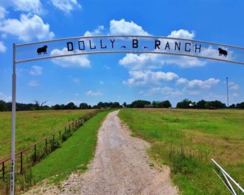 Buy Ranches for Sale, Find Ranchettes & Hunting Ranches : RANCHFLIP