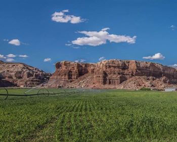 Ranches for Sale Over 5,000 Acres : RANCHFLIP