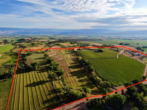 Colorado Cattle Ranches for Sale, Cattle Ranchland for Sale : RANCHFLIP