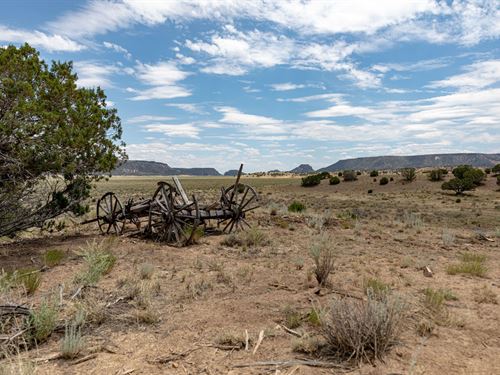 new Mexico Cattle Ranches for Sale, Cattle Ranchland for Sale : RANCHFLIP