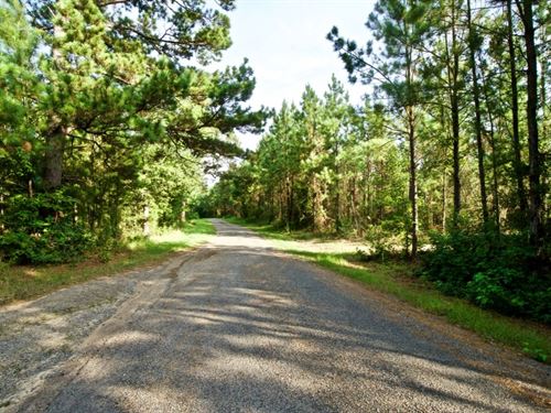 Sailes Louisiana Ranches for Sale, 10 - 20 Acres : RANCHFLIP