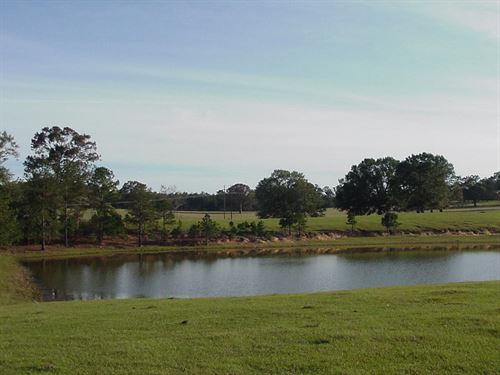 Grady Alabama Ranches for Sale : RANCHFLIP