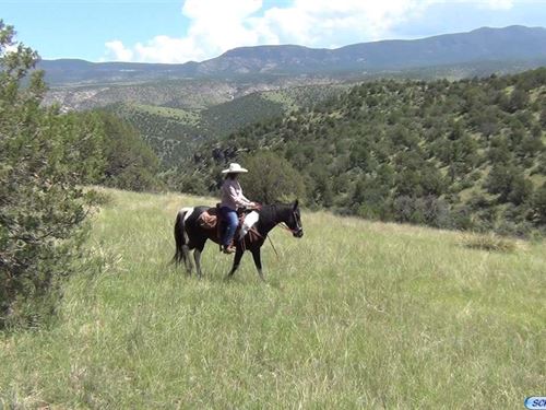 new Mexico Cattle Ranches for Sale, Cattle Ranchland for Sale : RANCHFLIP