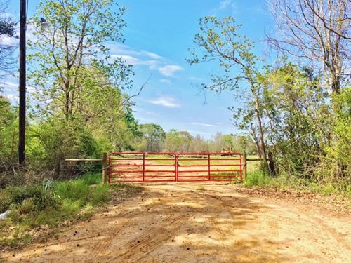Louisiana Ranches for Sale : RANCHFLIP