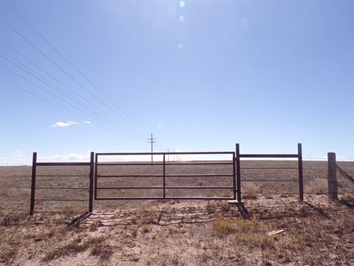 new Mexico Cattle Ranches for Sale, Cattle Ranchland for Sale : RANCHFLIP