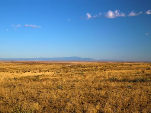 Ranches for Sale Over 10,000 Acres : RANCHFLIP