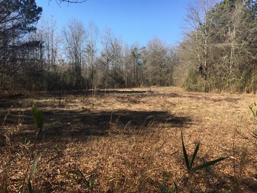 Alabama Cattle Ranches for Sale : RANCHFLIP