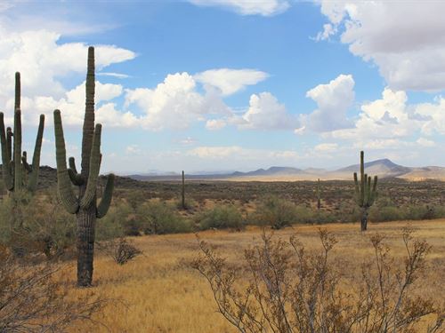 Arizona Cattle Ranches for Sale, Cattle Ranchland for Sale : RANCHFLIP
