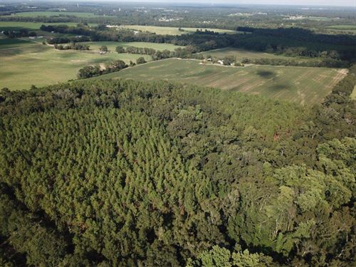 Alabama Cattle Ranches for Sale : Page 3 of 7 - ranchflip