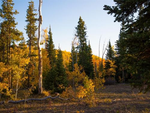 Colorado Ranches for Sale, Ranchland for Sale : Page 10 of 36 : RANCHFLIP