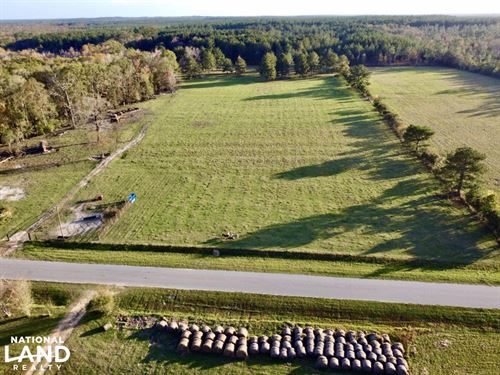 Alabama Cattle Ranches for Sale, Cattle Ranchland for Sale : RANCHFLIP