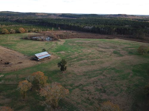 Alabama Cattle Ranches for Sale : RANCHFLIP