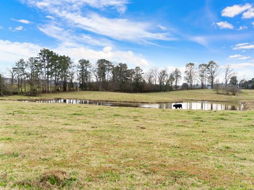 Georgia Cattle Ranches for Sale - ranchflip