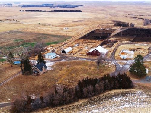 Nebraska Cattle Ranches for Sale : RANCHFLIP