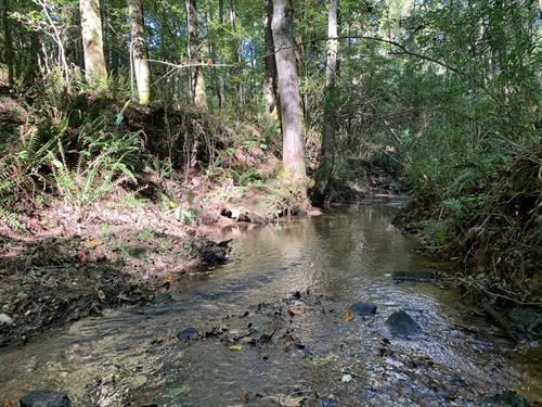 Henry County Georgia Ranches for Sale - ranchflip