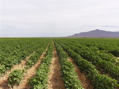 New Mexico Ranches for Sale : RANCHFLIP