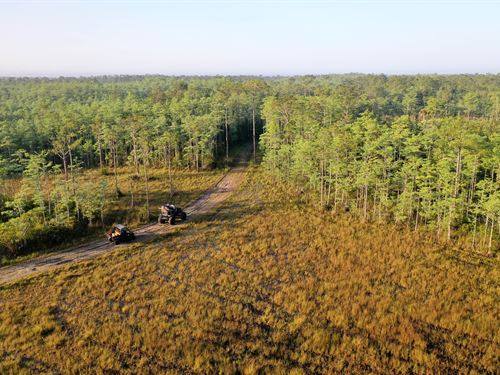 Florida Ranches for Sale : Page 4 of 26 - ranchflip