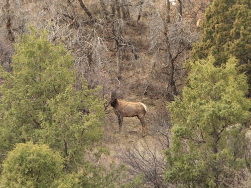 Colorado Ranches for Sale : Page 16 of 28 : RANCHFLIP