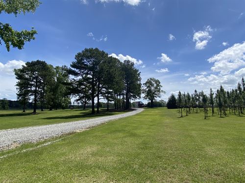 Alabama Ranches for Sale With Home Over 50 Acres : Page 3 of 7 : Buy ...