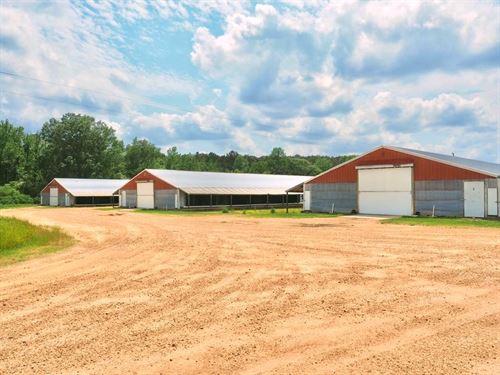 Mississippi Cattle Ranches for Sale - ranchflip