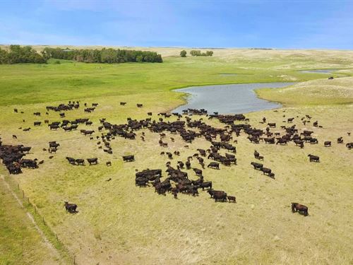 Nebraska Ranches for Sale - ranchflip