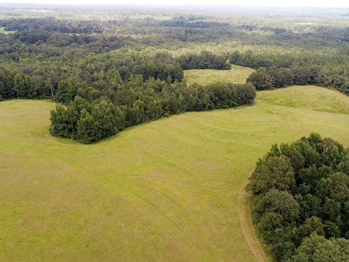 Alabama Cattle Ranches for Sale : Page 2 of 6 : RANCHFLIP