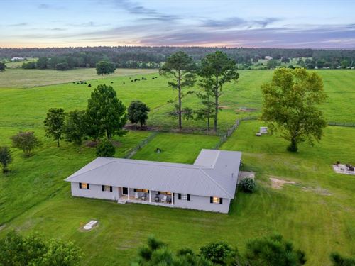 Alabama Cattle Ranches for Sale - ranchflip