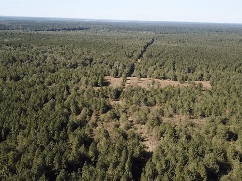 Ranches for Sale Over 1,000 Acres - ranchflip