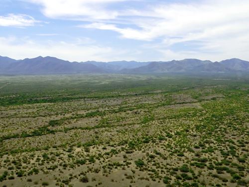 Arizona Cattle Ranches for Sale : RANCHFLIP