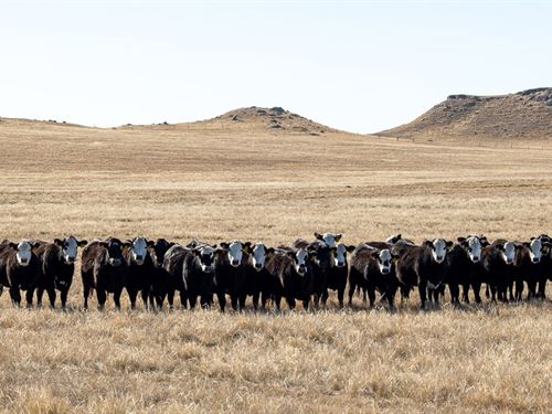 Wyoming Ranches for Sale : RANCHFLIP