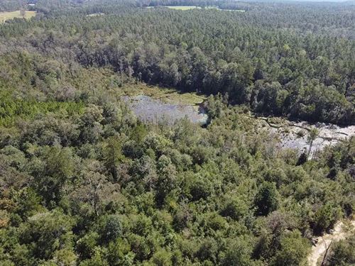 Alabama Ranches for Sale : Page 9 of 63 - ranchflip