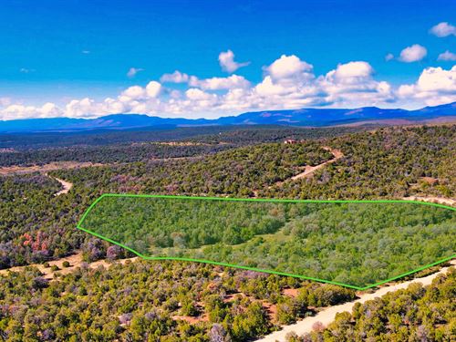 New Mexico Ranches for Sale by Owner & Ranchland by Owner
