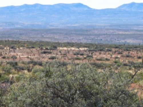 Texas Ranches for Sale : RANCHFLIP