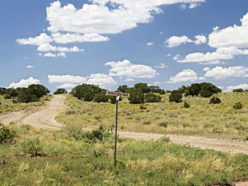 Arizona Cattle Ranches for Sale : RANCHFLIP