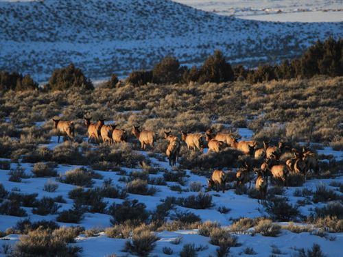 Colorado Ranches for Sale : Page 4 of 28 : RANCHFLIP