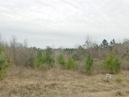 Louisiana Ranches for Sale : Page 7 of 14 : RANCHFLIP