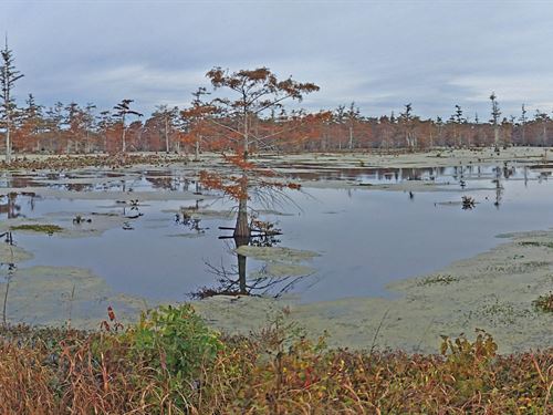 Ranches for Sale Over 1,000 Acres - ranchflip