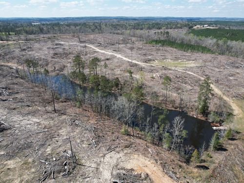 Alabama Ranches for Sale : Buy Ranches for Sale, Find Ranchettes ...