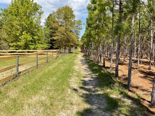 Alachua County Florida Ranches for Sale : RANCHFLIP