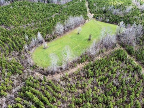 Alabama Ranches for Sale : Page 2 of 35 : RANCHFLIP