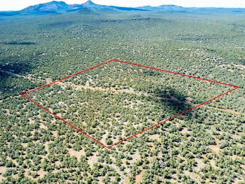 Arizona Ranches for Sale : Page 5 of 11 : RANCHFLIP