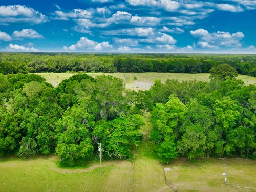 Florida Ranches for Sale - ranchflip