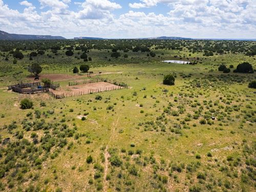 New Mexico Ranches for Sale Over 1,000 Acres - RANCHFLIP