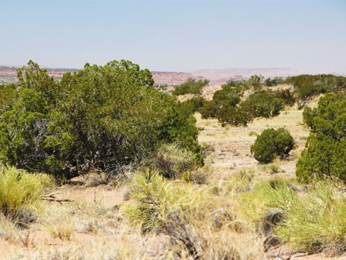 Arizona Ranches for Sale - ranchflip